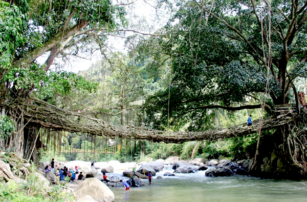 Fascinating Natural World – Destination Asia News